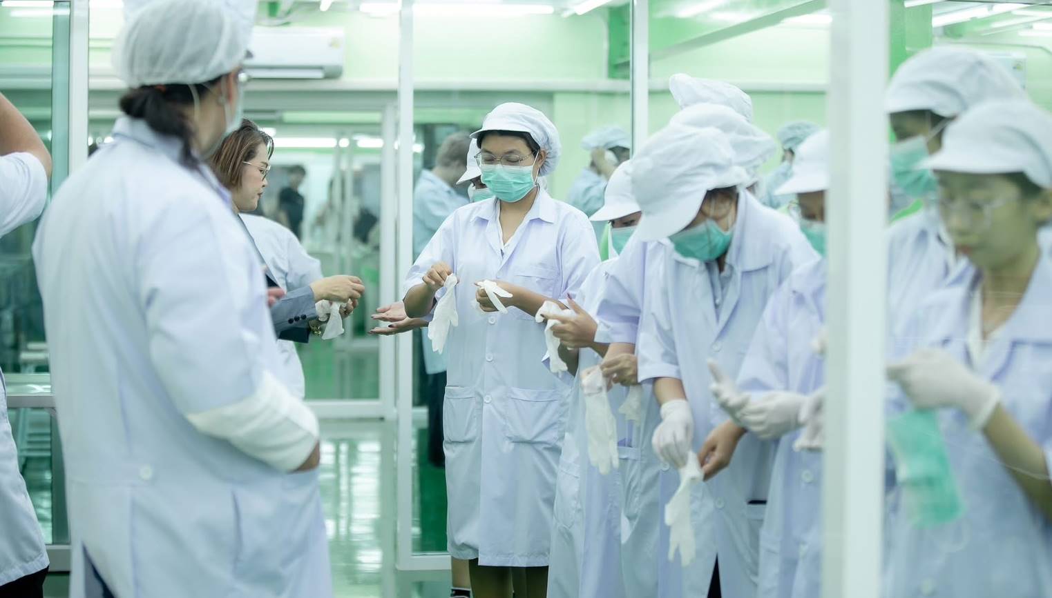 IC-DPU บุกหงส์ไทย! เปิดโลกธุรกิจสมุนไพร สัมผัส Soft Power ไทย จุดประกายอนาคตนักธุรกิจรุ่นใหม่ ...